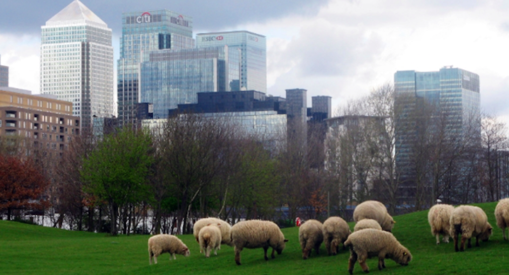 Les 7 plus belles "city farms" de Londres à visiter