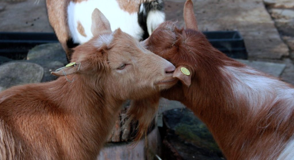 Que faire dans le quartier de Shoreditch