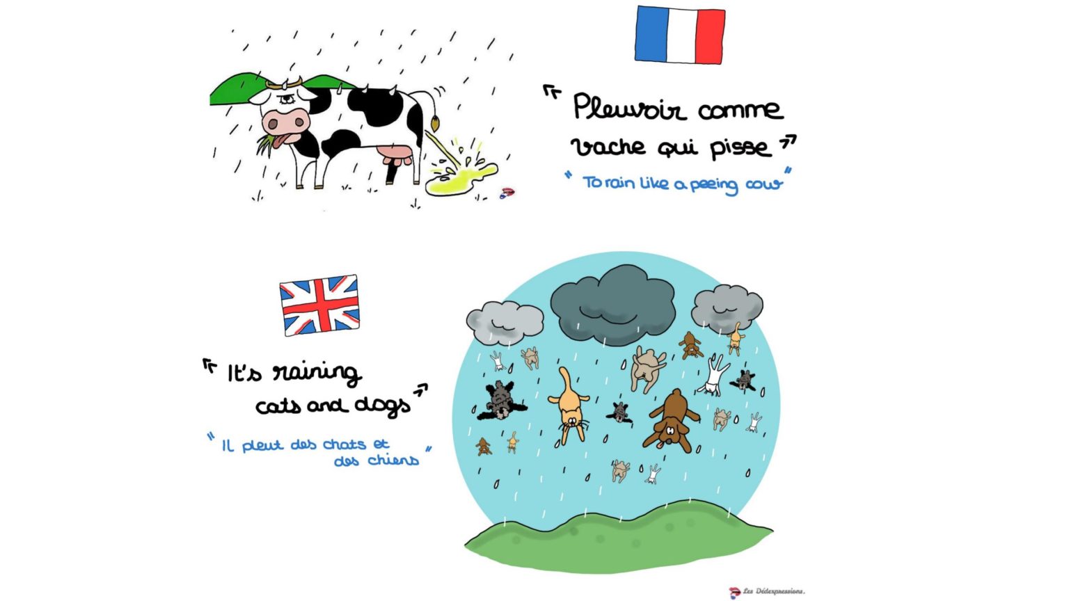 Elle illustre avec humour des expressions françaises et anglaises