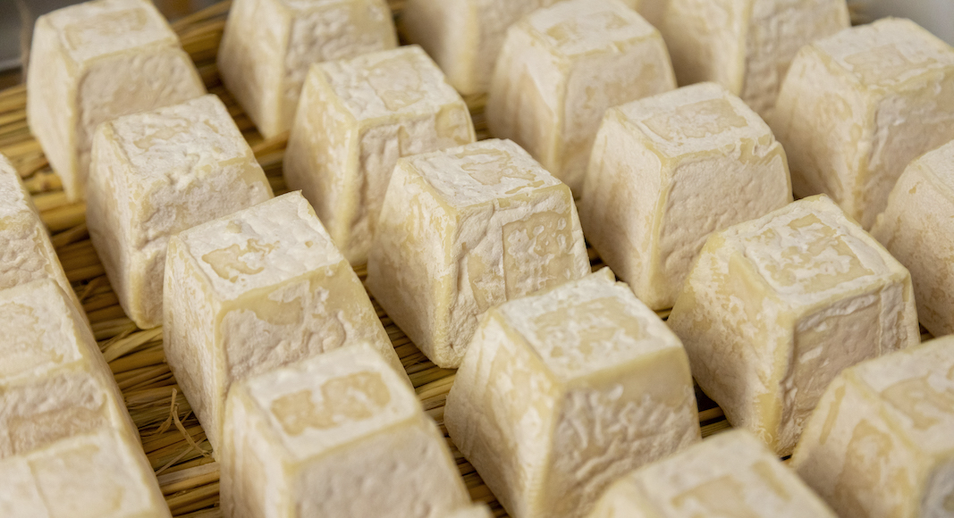 7 fromages anglais à découvrir