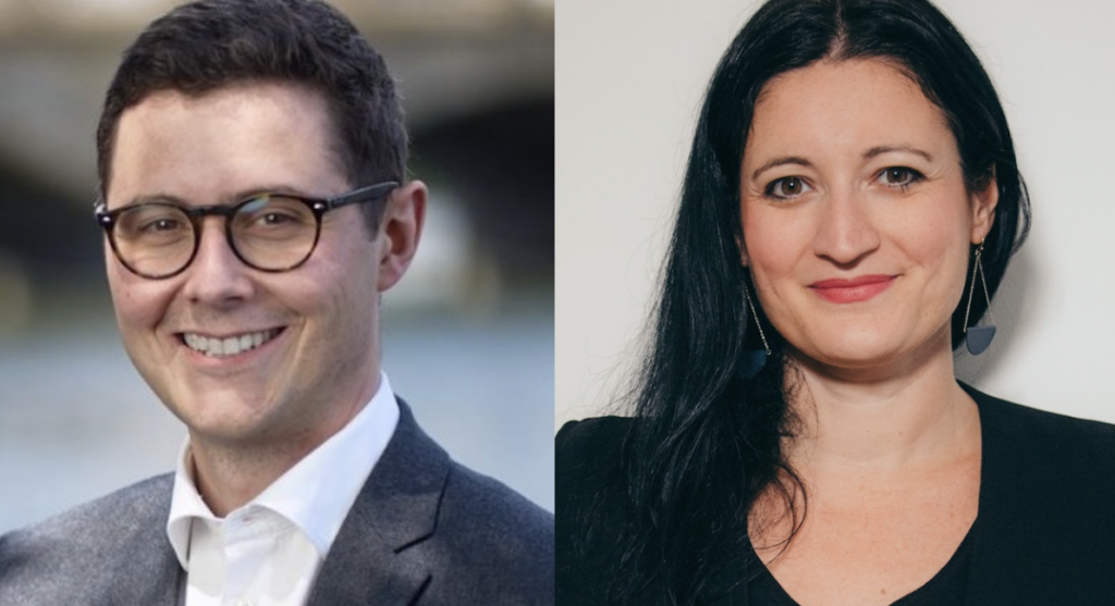 Législatives anticipées Europe du Nord : quelle stratégie pour les deux ...