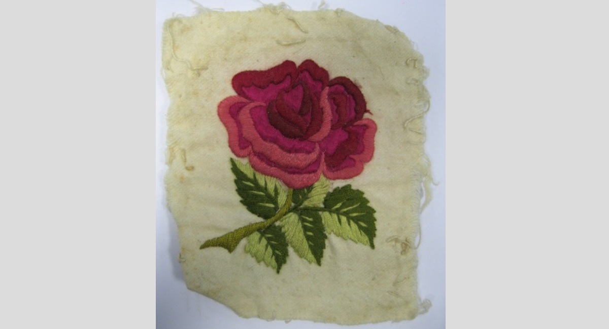 Rose, chardon, trèfles, plumes... pourquoi les équipes de rugby ...